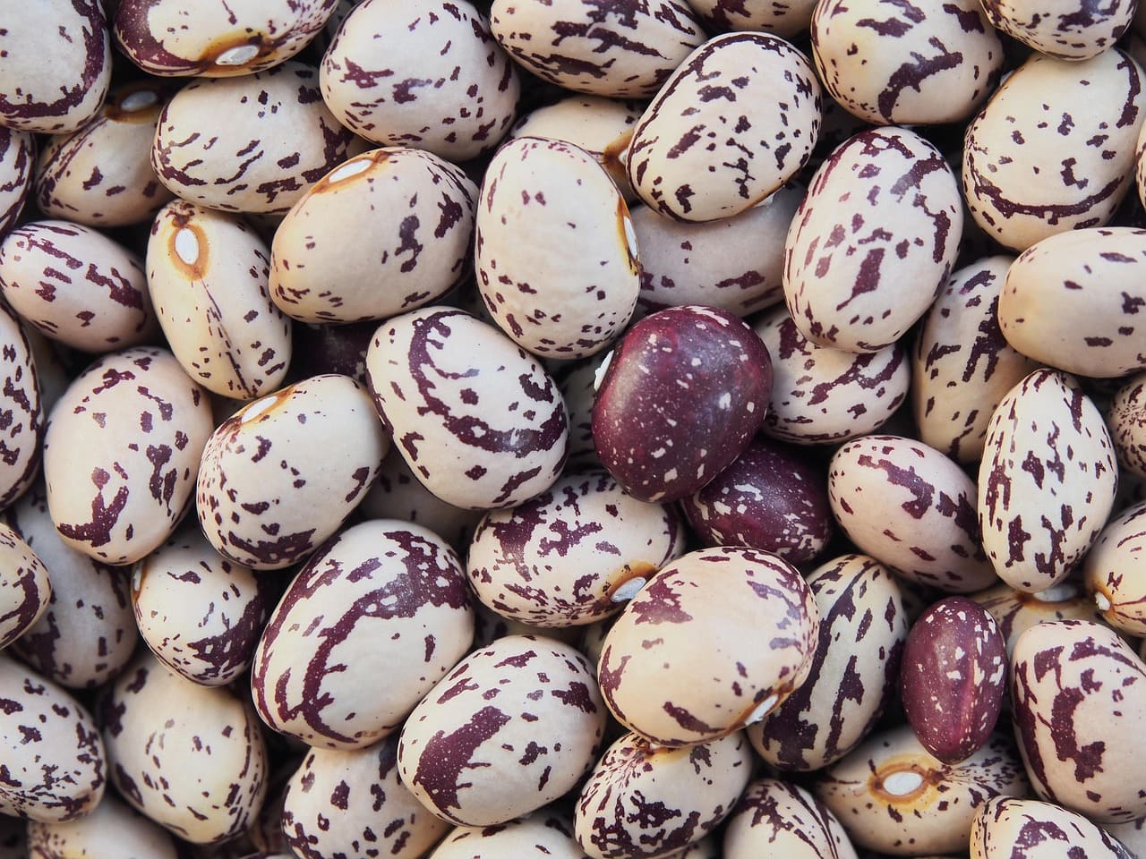 Come cucinare i fagioli secchi: ammollo, tempi di cottura e consigli